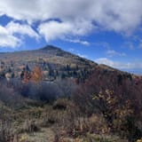 Massie Gap and Wilburn Ridge Loop, Virginia - 880 Reviews, Map | AllTrails