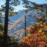 Babel Tower Trail, North Carolina - 925 Reviews, Map | AllTrails