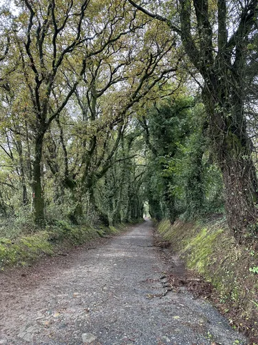 Best Historic Site Trails in Gonzar | AllTrails