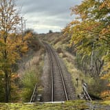Black Rock Gorge and Evanton Wood, Highlands, Scotland - 27 Reviews ...