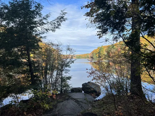 10 Best Hikes and Trails in Beartown State Forest | AllTrails