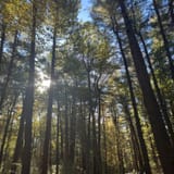 Breakheart Reservation Loop, Massachusetts - 1,037 Reviews, Map | AllTrails