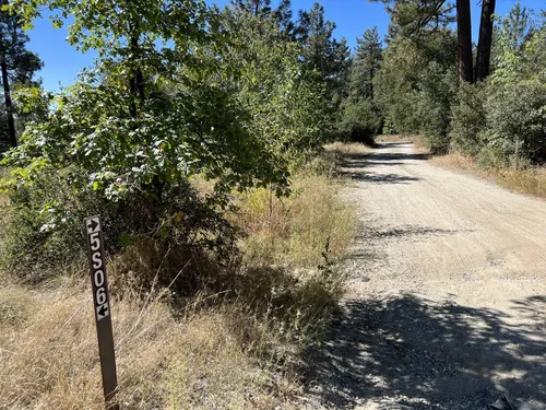 Best Hikes and Trails in Idyllwild | AllTrails