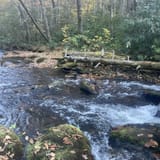 The Boogerman Trail, North Carolina - 521 Reviews, Map | AllTrails