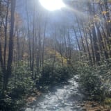 The Boogerman Trail, North Carolina - 521 Reviews, Map | AllTrails