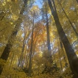 The Boogerman Trail, North Carolina - 521 Reviews, Map | AllTrails