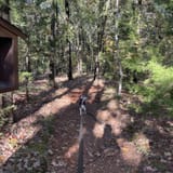 Coon Ridge Trail, Oklahoma - 357 Reviews, Map | AllTrails