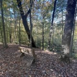 Bacon Ridge Trail: Phase 3, Maryland - 2,209 Reviews, Map | AllTrails