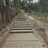 Huckleberry Hill Loop Trail, California - 864 Reviews, Map | AllTrails