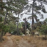 Huckleberry Hill Loop Trail, California - 864 Reviews, Map | AllTrails