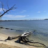 Myrtle Point Loop, Maryland - 422 Reviews, Map | AllTrails
