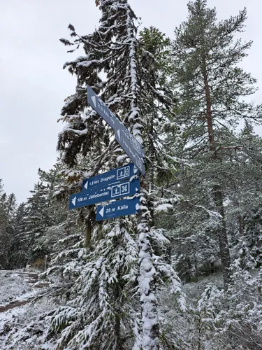 2023 Best Views Trails in Idkerberget | AllTrails