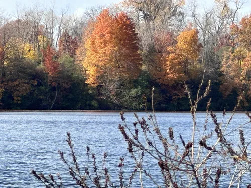 Best Hikes and Trails in Ford Lake Park | AllTrails