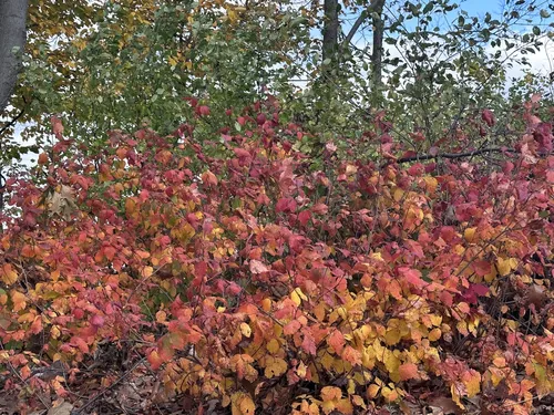 Best Hikes and Trails in Ford Lake Park | AllTrails