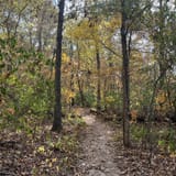 Silver Lake Trail, Illinois - 711 Reviews, Map | AllTrails