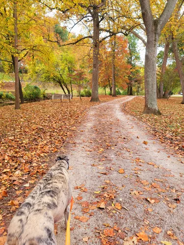 Best Hikes and Trails in Ritter Park | AllTrails