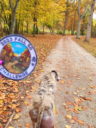 Best Hikes and Trails in Ritter Park | AllTrails