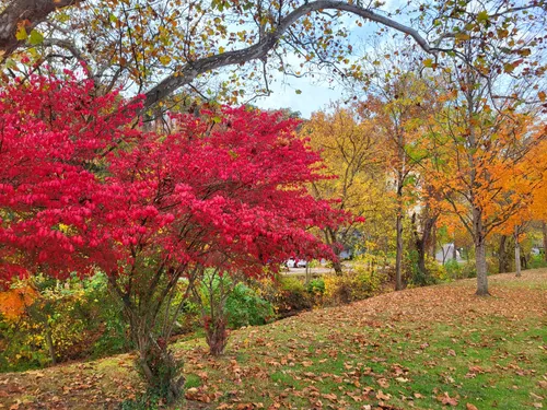 Best Hikes and Trails in Ritter Park | AllTrails