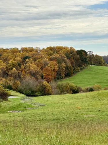 Best Hikes and Trails in Okehocking Preserve | AllTrails