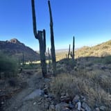Gateway to Bell Pass, Arizona - 1,115 Reviews, Map | AllTrails