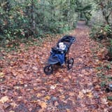 Nolte State Park Deep Lake, Washington - 569 Reviews, Map | AllTrails