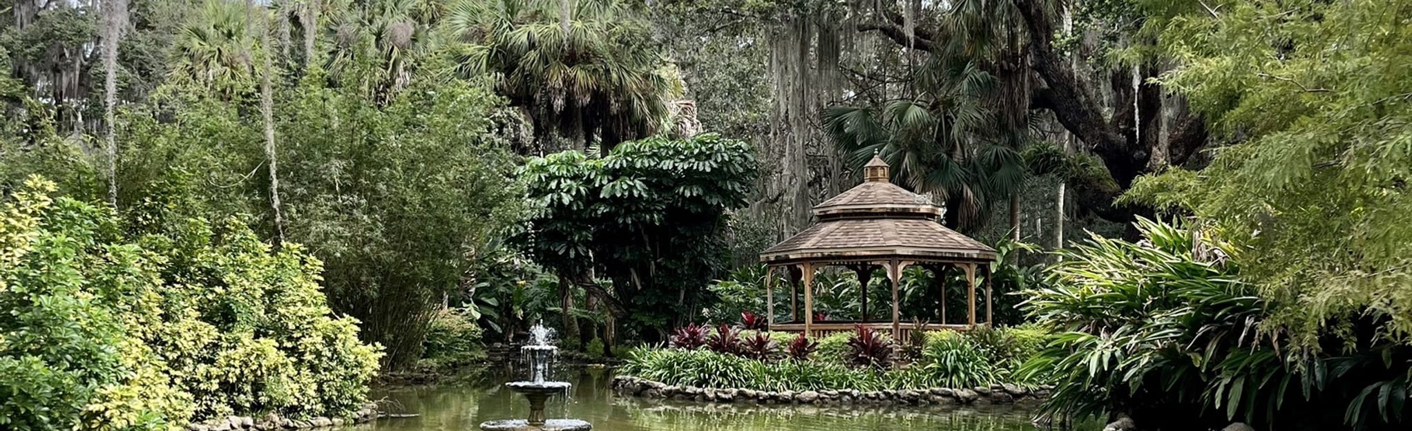 Washington Oaks Gardens Trail: 105 Reviews, Map - Florida | AllTrails