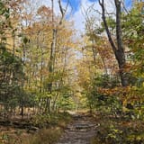 Black Rock via the Appalachian Trail, Maryland - 1,712 Reviews, Map ...