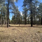 Griffith Spring Trail, Arizona - 384 Reviews, Map | AllTrails