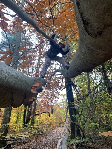 Best Hikes and Trails in Port Sheldon Natural Area | AllTrails