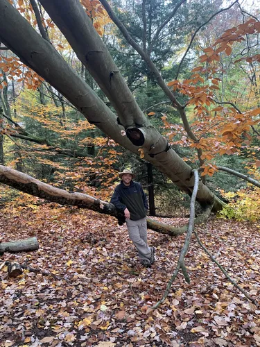 Best Hikes and Trails in Port Sheldon Natural Area | AllTrails