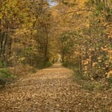 Sippo Valley Trail, Ohio - 171 Reviews, Map | AllTrails