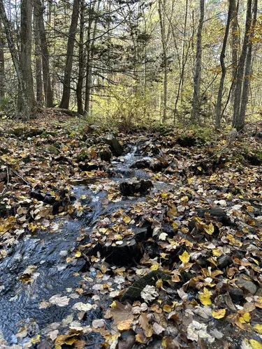 Best Walking Trails in Lancaster | AllTrails