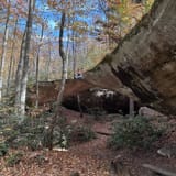 Hazard Cave and Natural Bridge Trail, Tennessee - 367 Reviews, Map ...