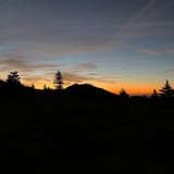 Mount Rogers Loop Trail, Virginia - 391 Reviews, Map | AllTrails