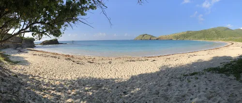 Best Moderate Trails in Walling Nature Reserve | AllTrails