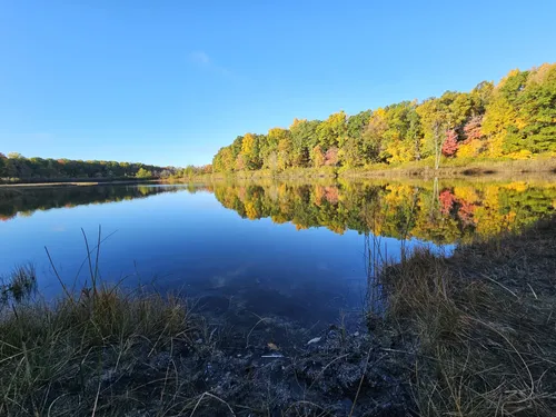 Best Hikes and Trails in MacCready Nature Reserve | AllTrails