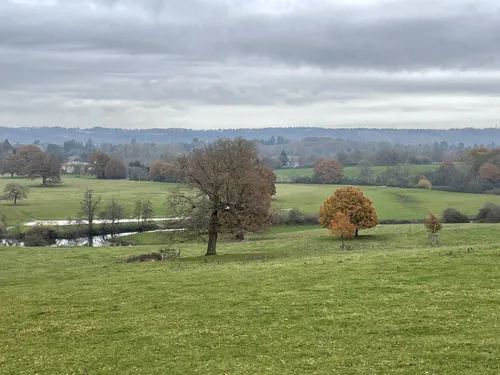 Best Hikes and Trails in Ashtead Common National Nature Reserve | AllTrails