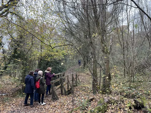 Best Hikes and Trails in Ashtead Common National Nature Reserve | AllTrails
