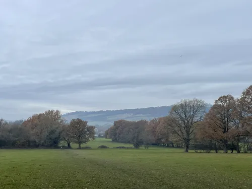 Best Hikes and Trails in Ashtead Common National Nature Reserve | AllTrails