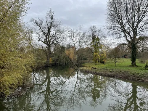 Best Hikes and Trails in Ashtead Common National Nature Reserve | AllTrails