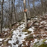 Balsam Lake Mountain via Dry Brook Ridge Trail, New York - 946 Reviews ...