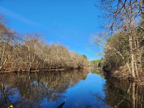 Best Hikes and Trails in Elm Bank Reservation | AllTrails