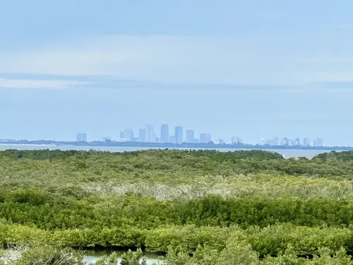 Best Hikes and Trails in Cockroach Bay Nature Preserve | AllTrails