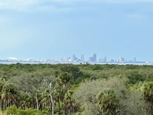 Best Hikes and Trails in Cockroach Bay Nature Preserve | AllTrails