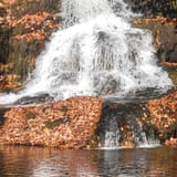Hemlock Falls Trail, Georgia - 1,170 Reviews, Map | AllTrails