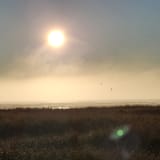 Long Beach Boardwalk and Discovery Trail Loop, Washington - 100 Reviews ...