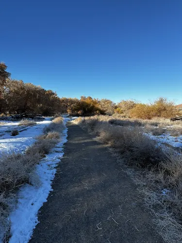 Best Hikes and Trails in Rio Rancho | AllTrails