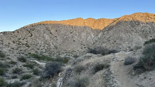 Best Hikes and Trails in Morongo Valley | AllTrails