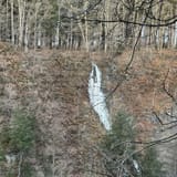 Whetstone Gulf Trail, New York - 684 Reviews, Map | AllTrails