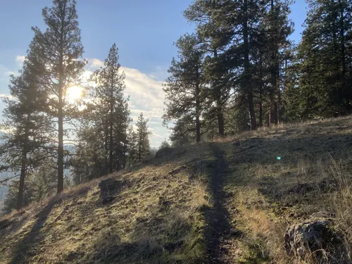 Best Lake Trails in Heyburn State Park | AllTrails